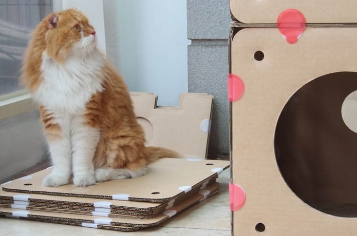 BoxKitty - The Modular Cat house | Indiegogo