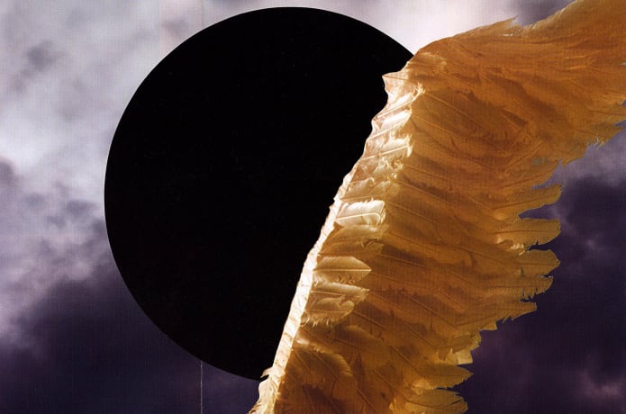 Wax Wings Indiegogo