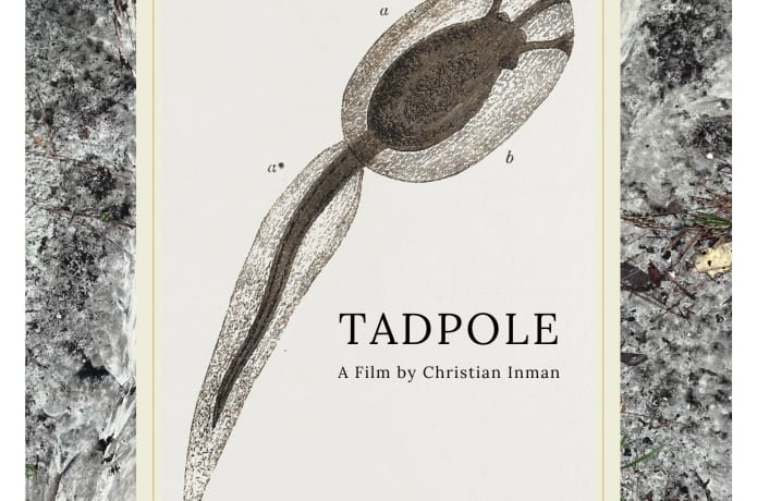 Tadpole | Indiegogo