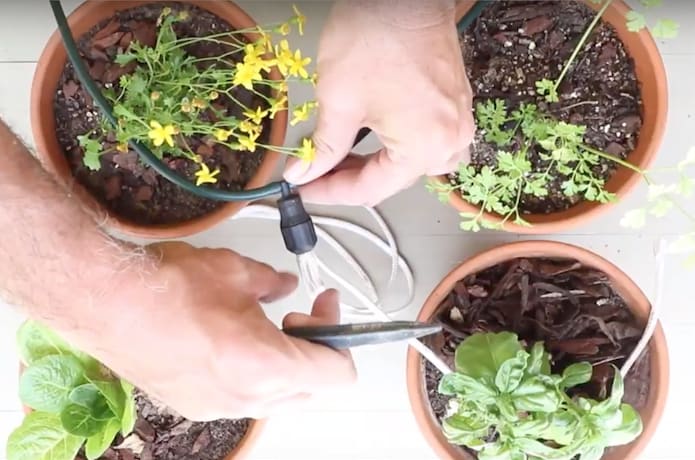 Wet-Wick Complete 3 in 1 Irrigation System | Indiegogo