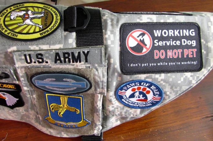 Dog Vests 4 Vets | Indiegogo