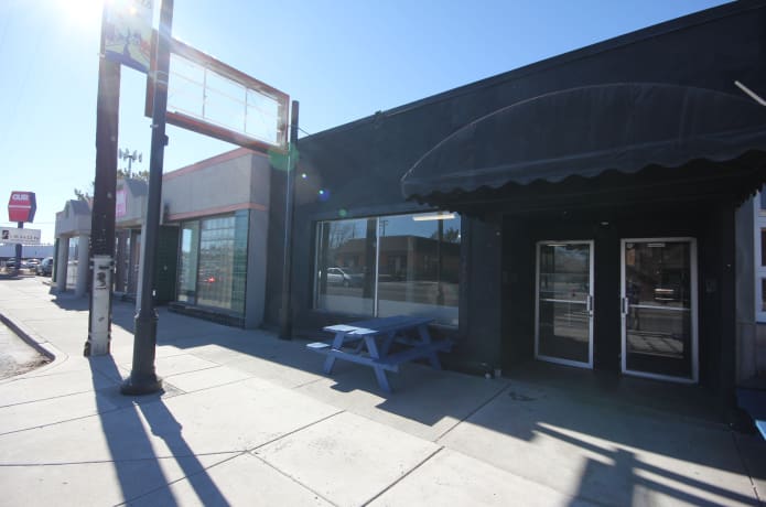 The Radical Cat is Coming to Reno | Indiegogo