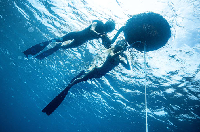 DIVEROID: Turn your smartphone into a Dive gear | Indiegogo