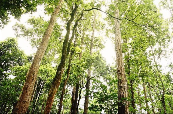 Another World - Un altro mondo: documentary | Indiegogo