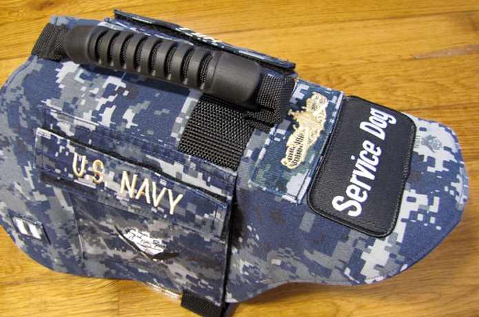 Dog Vests 4 Vets | Indiegogo