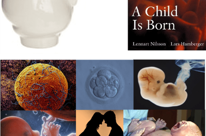 Develop Pregmama's therapy to prevent miscarriage, infertility & birth ...