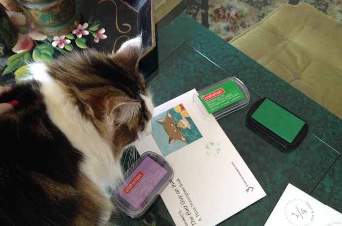 Buy a Book. Save a Cat. | Indiegogo