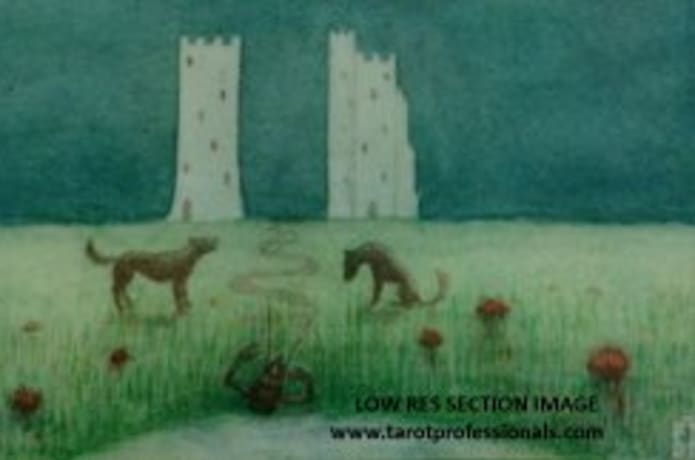 Waite-Trinick Tarot Book Publication | Indiegogo