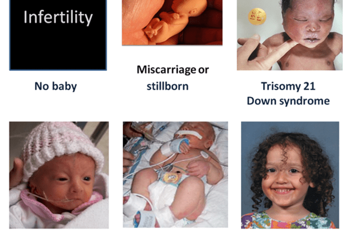 Develop Pregmama's therapy to prevent miscarriage, infertility & birth ...