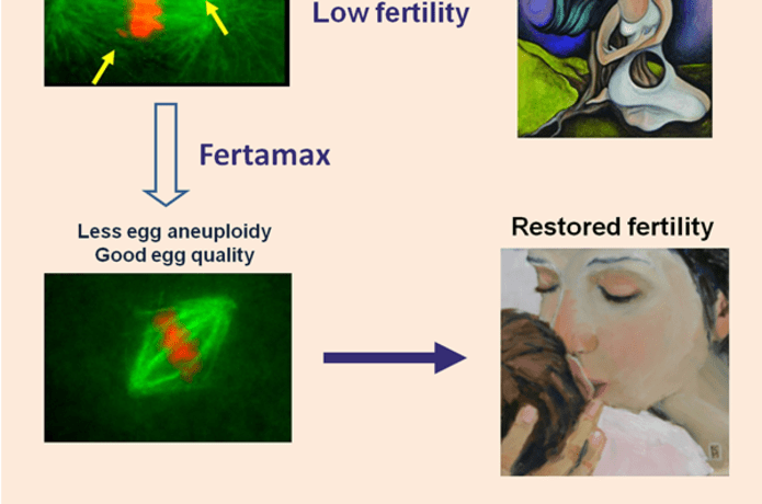 Develop Pregmama's therapy to prevent miscarriage, infertility & birth ...
