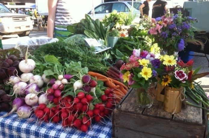 Butterbee Flower Farm: A Sustainable Farm in Baltimore | Indiegogo