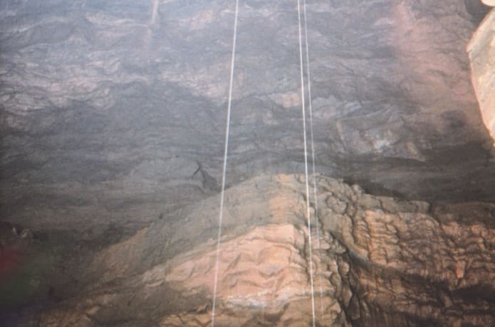 Fern Cave: The Discovery, Exploration, and History of Alabama's ...