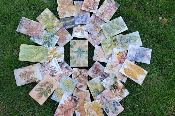 TreeLore Oracle Deck and Book by Dana O'Driscoll | Indiegogo