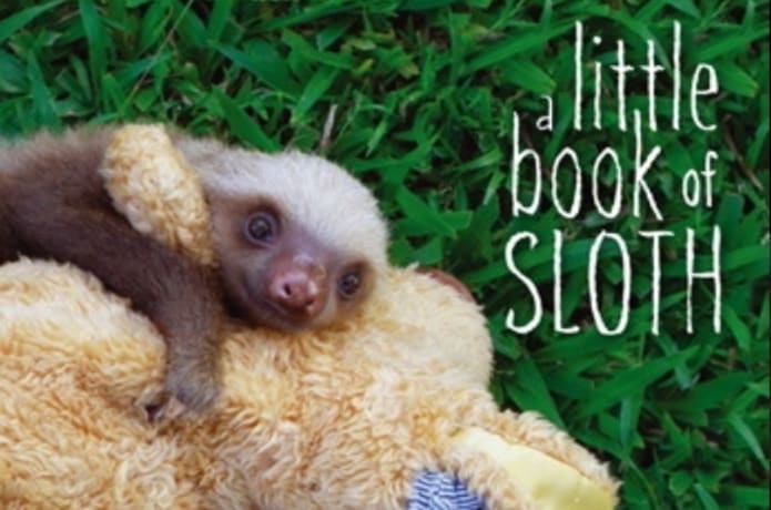 Save Our Sloths | Indiegogo