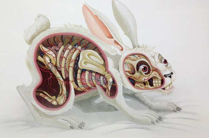 THE DEEPEST DEPTHS OF THE BURROW | Indiegogo