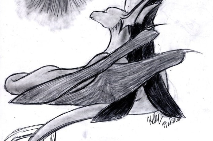 DRAGON IN THE POST | Indiegogo