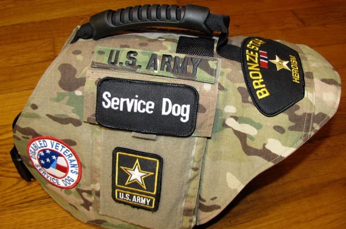 Dog Vests 4 Vets | Indiegogo