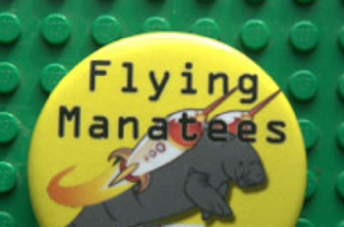 Help the Flying Manatees get to the International Lego Robotics ...