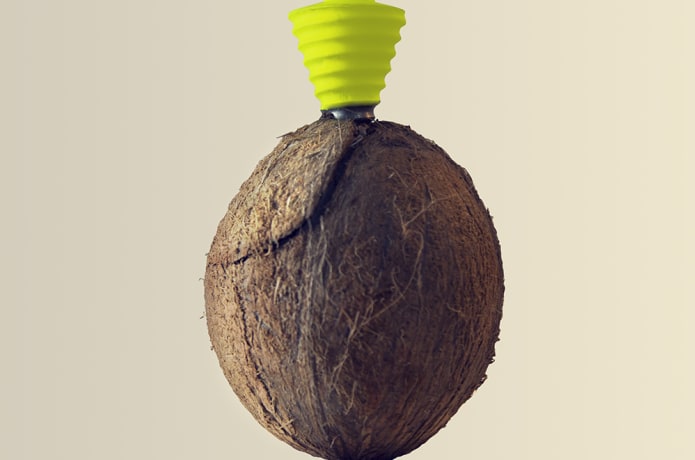 Cococrack: the easy way to open coconuts! | Indiegogo