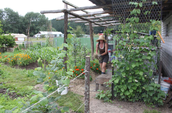 The 200sqm Urban Garden: A Food Security Model | Indiegogo