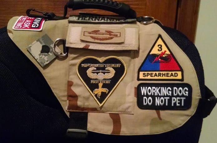 Dog Vests 4 Vets | Indiegogo