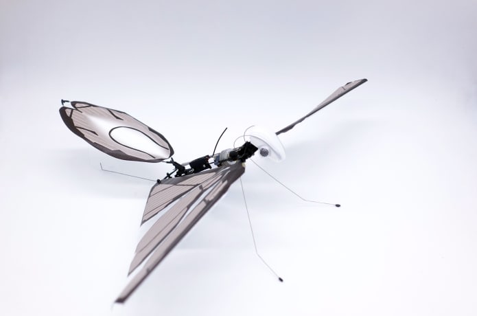 MetaFly - A New Flying Experience. | Indiegogo