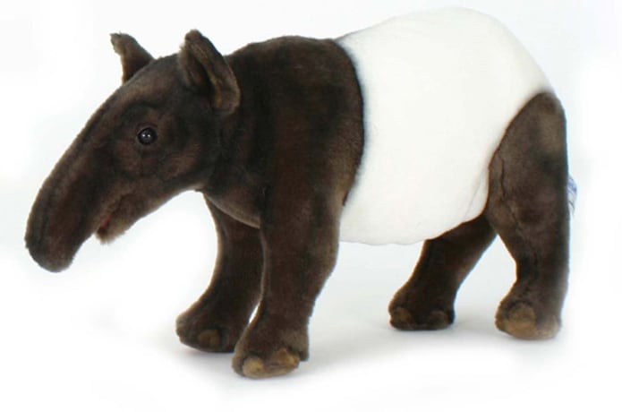 Save the Tapir Preservation Fund | Indiegogo