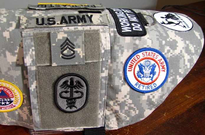 Dog Vests 4 Vets | Indiegogo