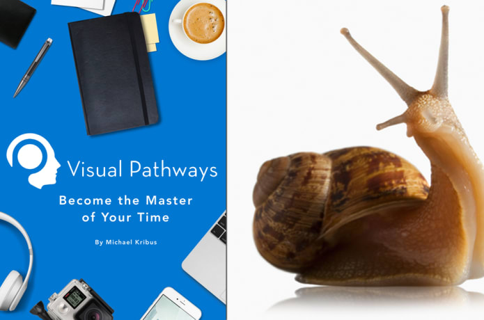 Visual Pathways - The Book | Indiegogo