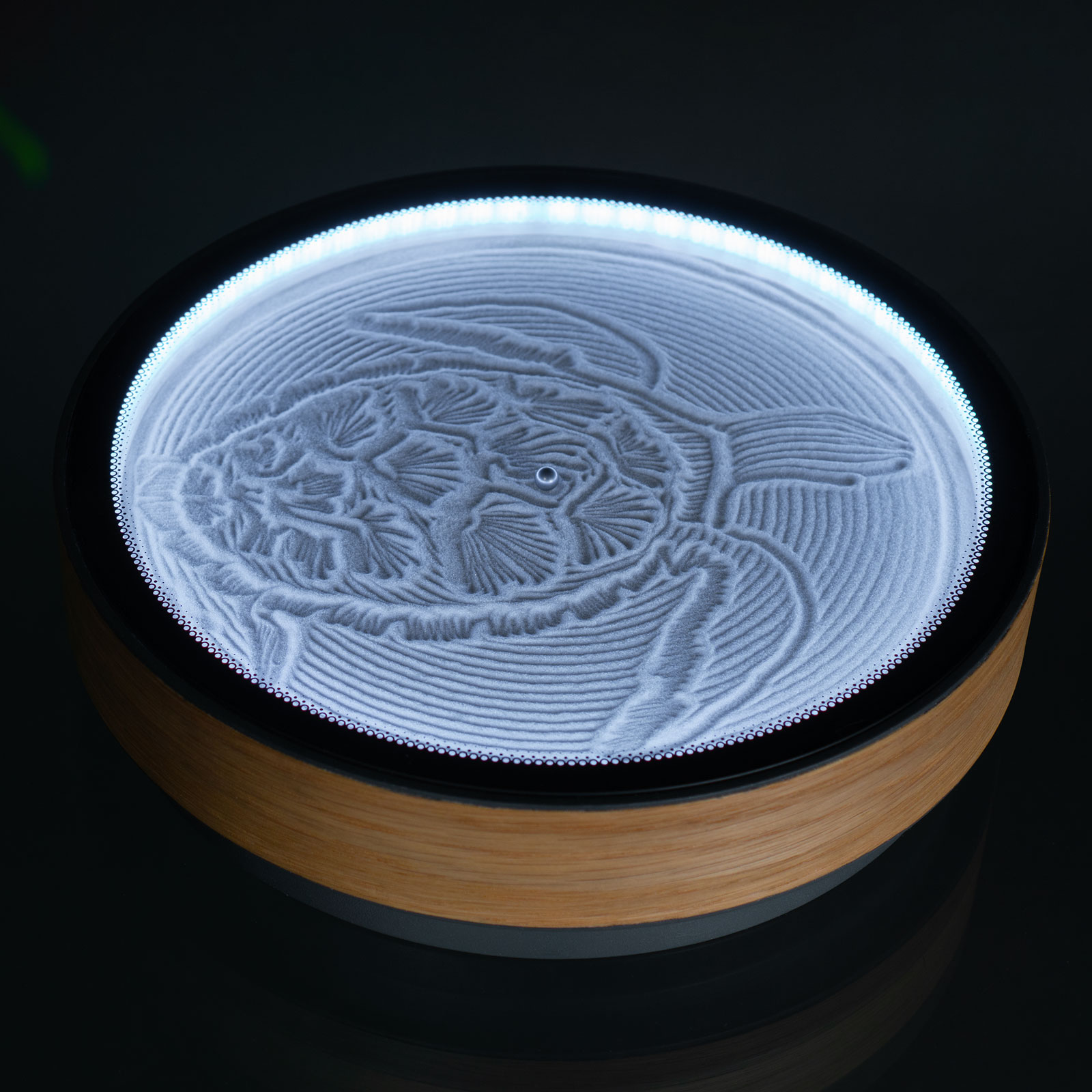 Hidden Colors 5 | Indiegogo