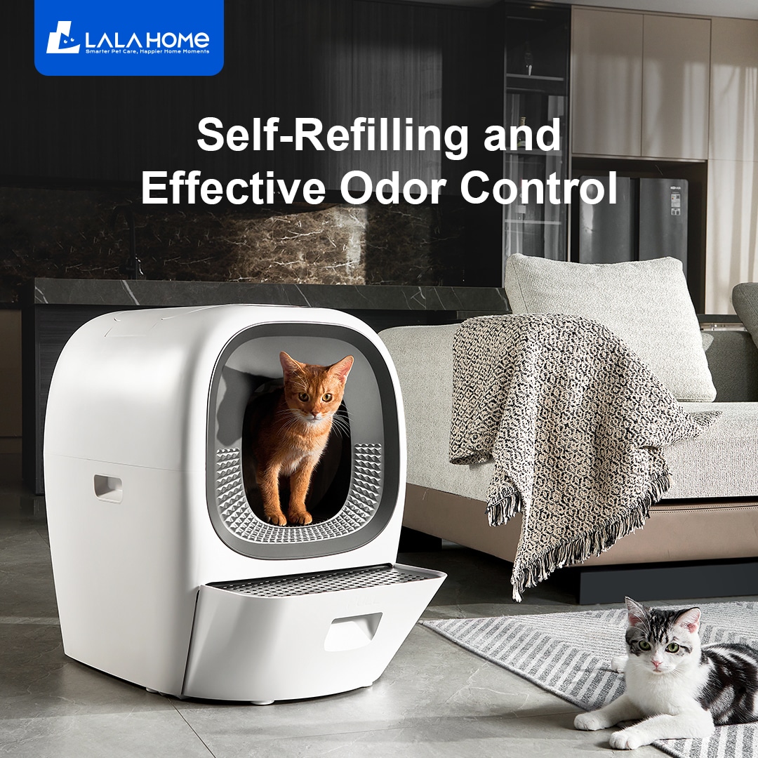 Bring INKBUS Mobile Tattoo Studio to Life! | Indiegogo