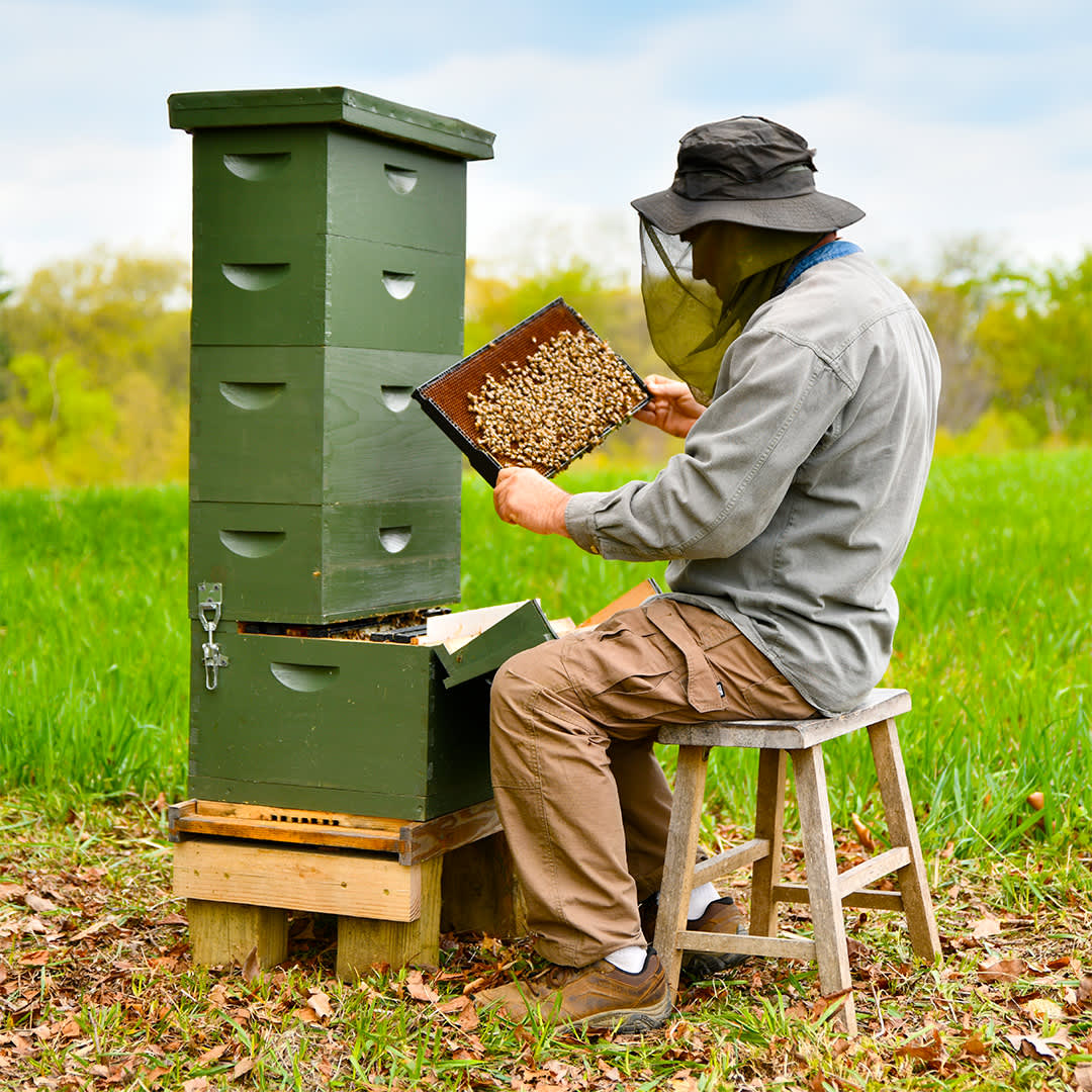 The Cold Shoulder PRO Calorie Burning Vest | Indiegogo